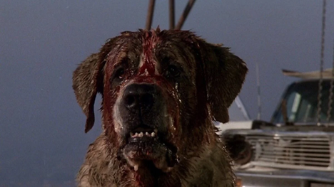 Horror Films: Exploring Our Fascination with Fear - Presence News