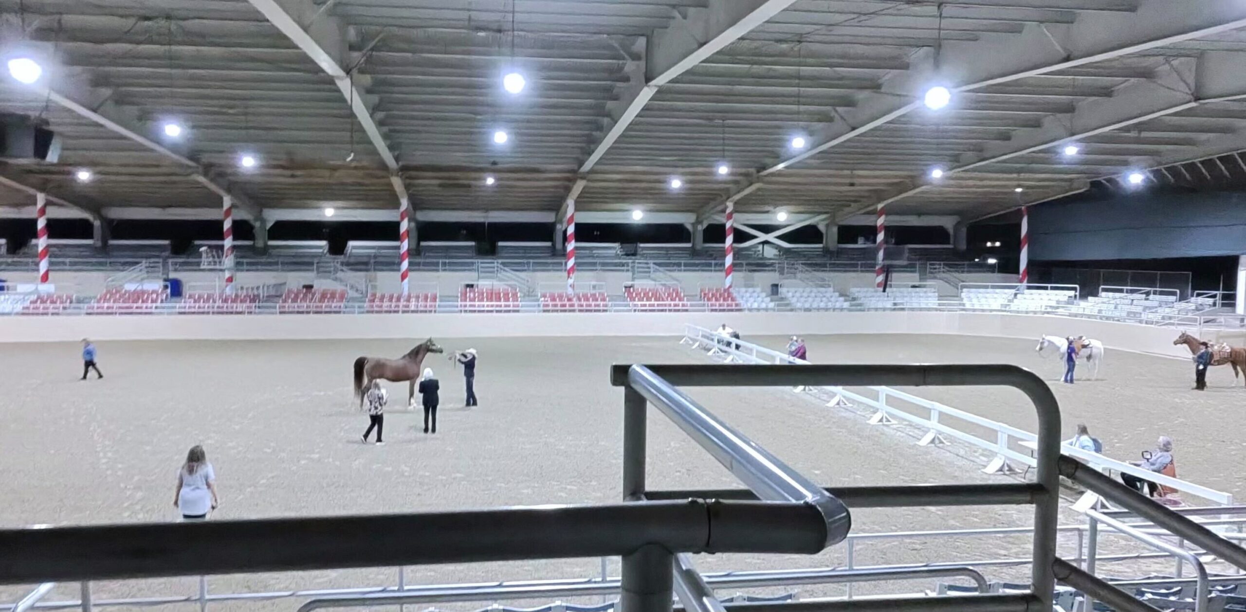 Arabian Horse Show Returns to Los Angeles Equestrian Center