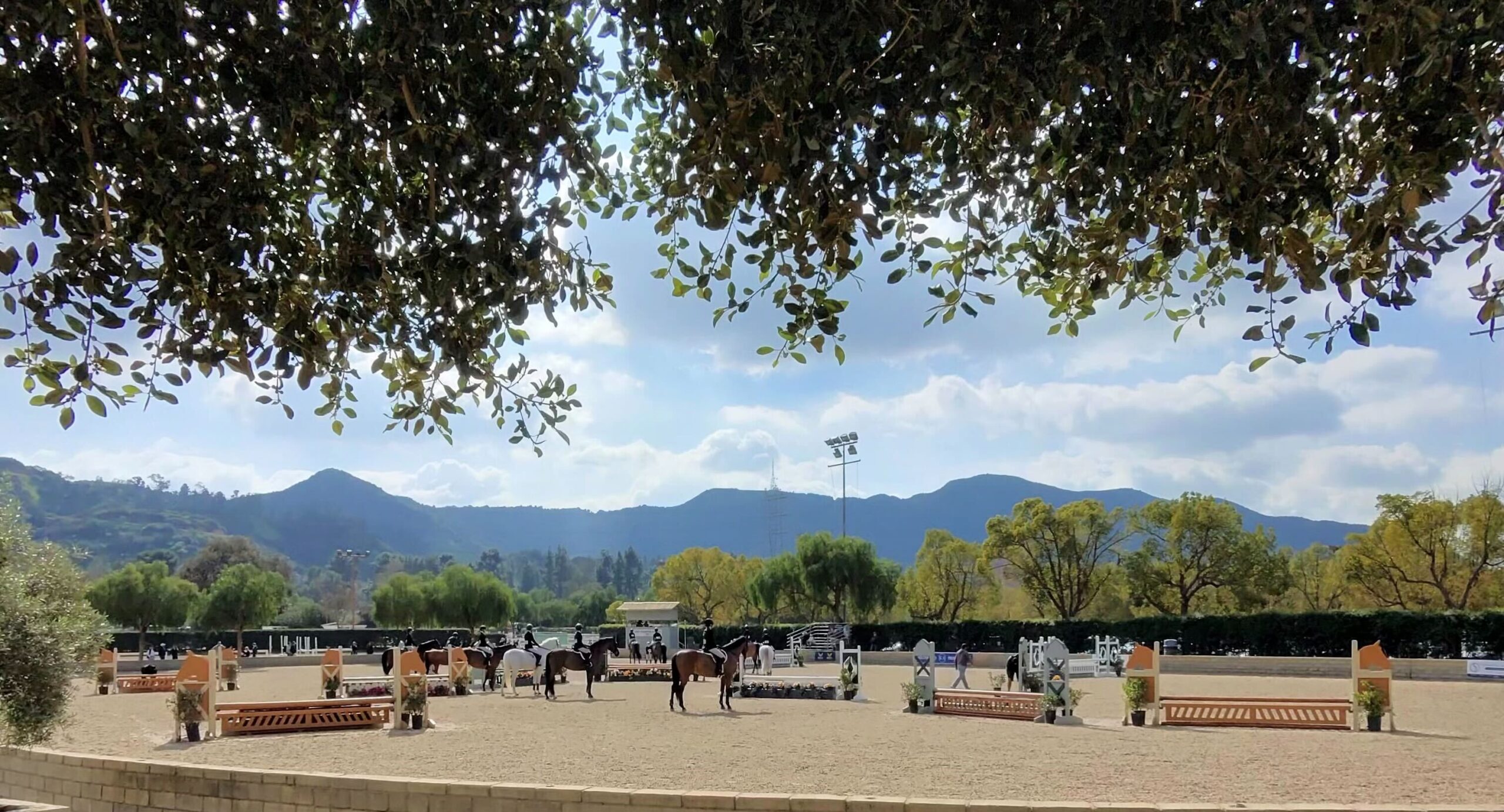 K/A Productions Hosts Jump Into January Horse Show in LA